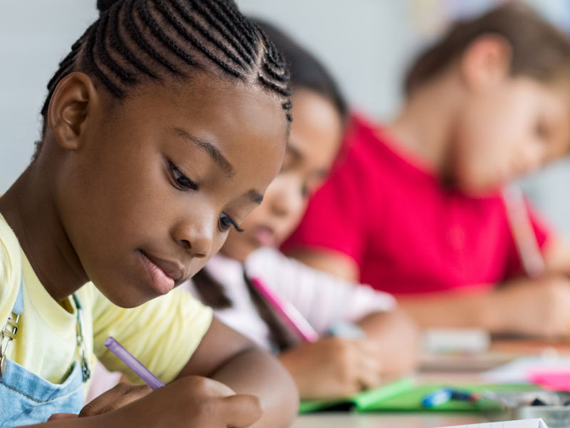 Springvale Primary School